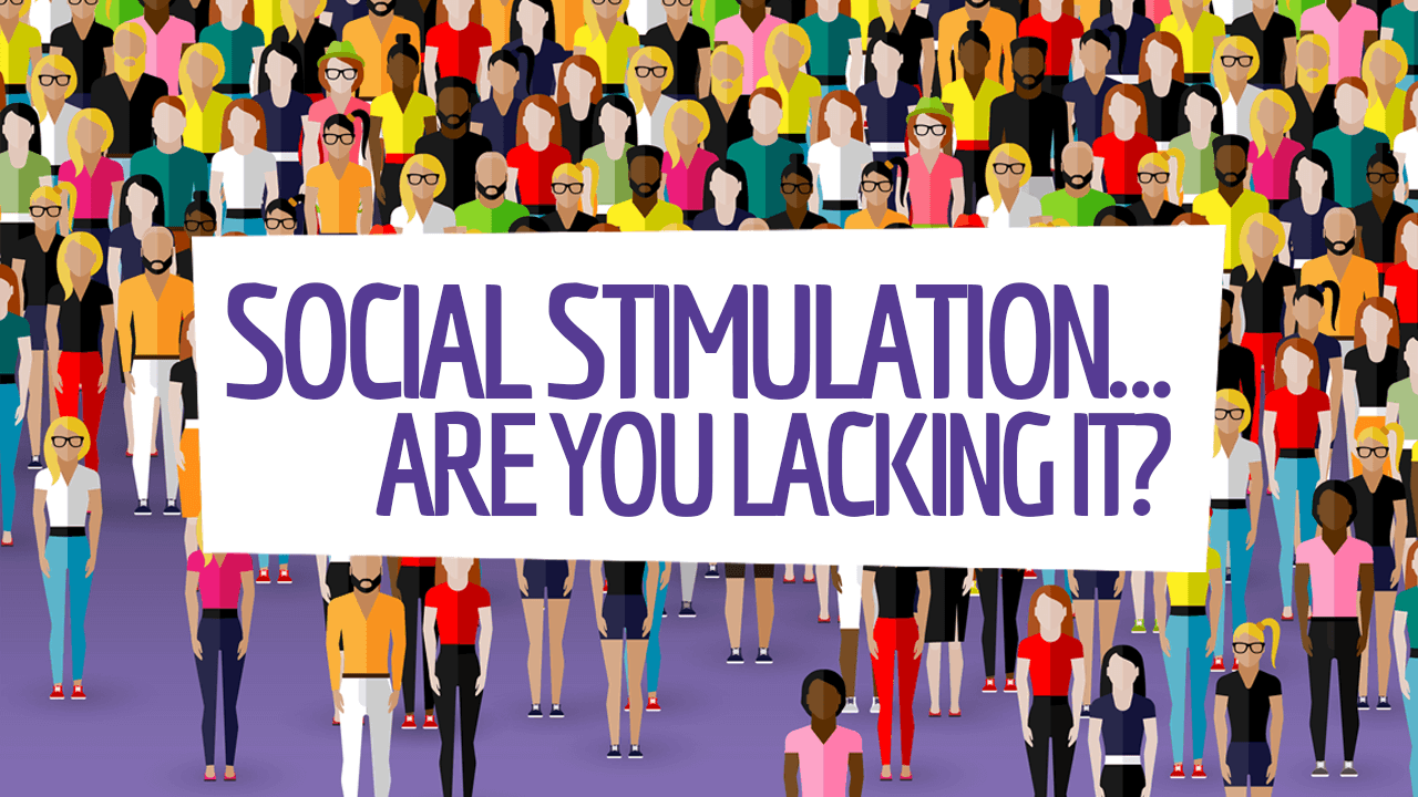 Social Stimulation… Are You Lacking It? - Simple Programmer