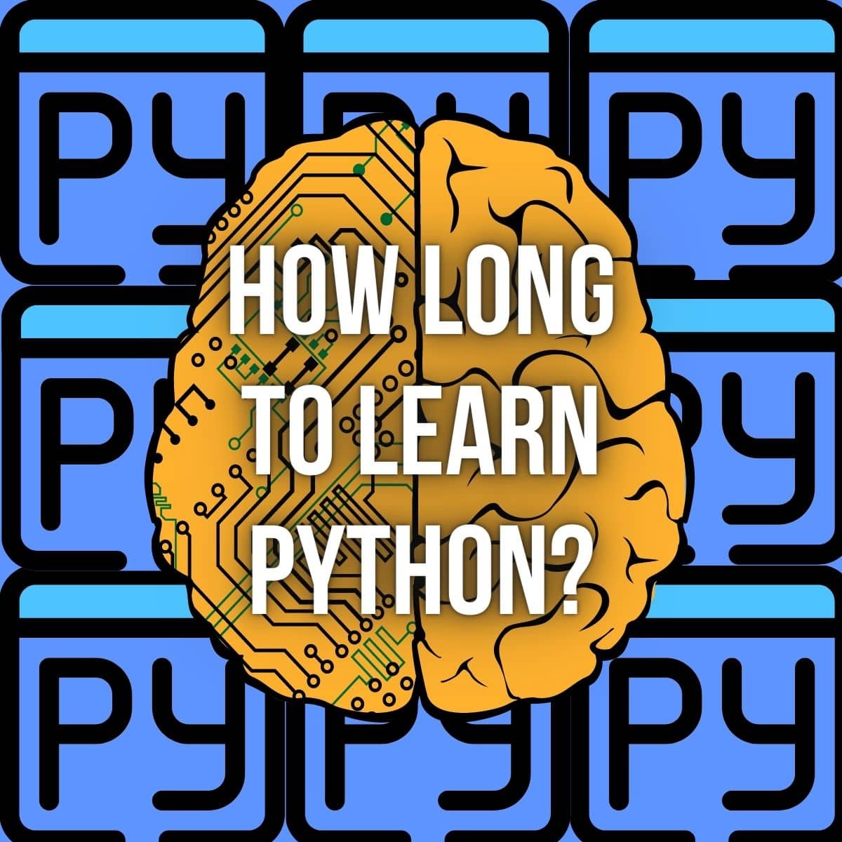How Long Does It Take To Learn Python 6 Scenarios Simple Programmer